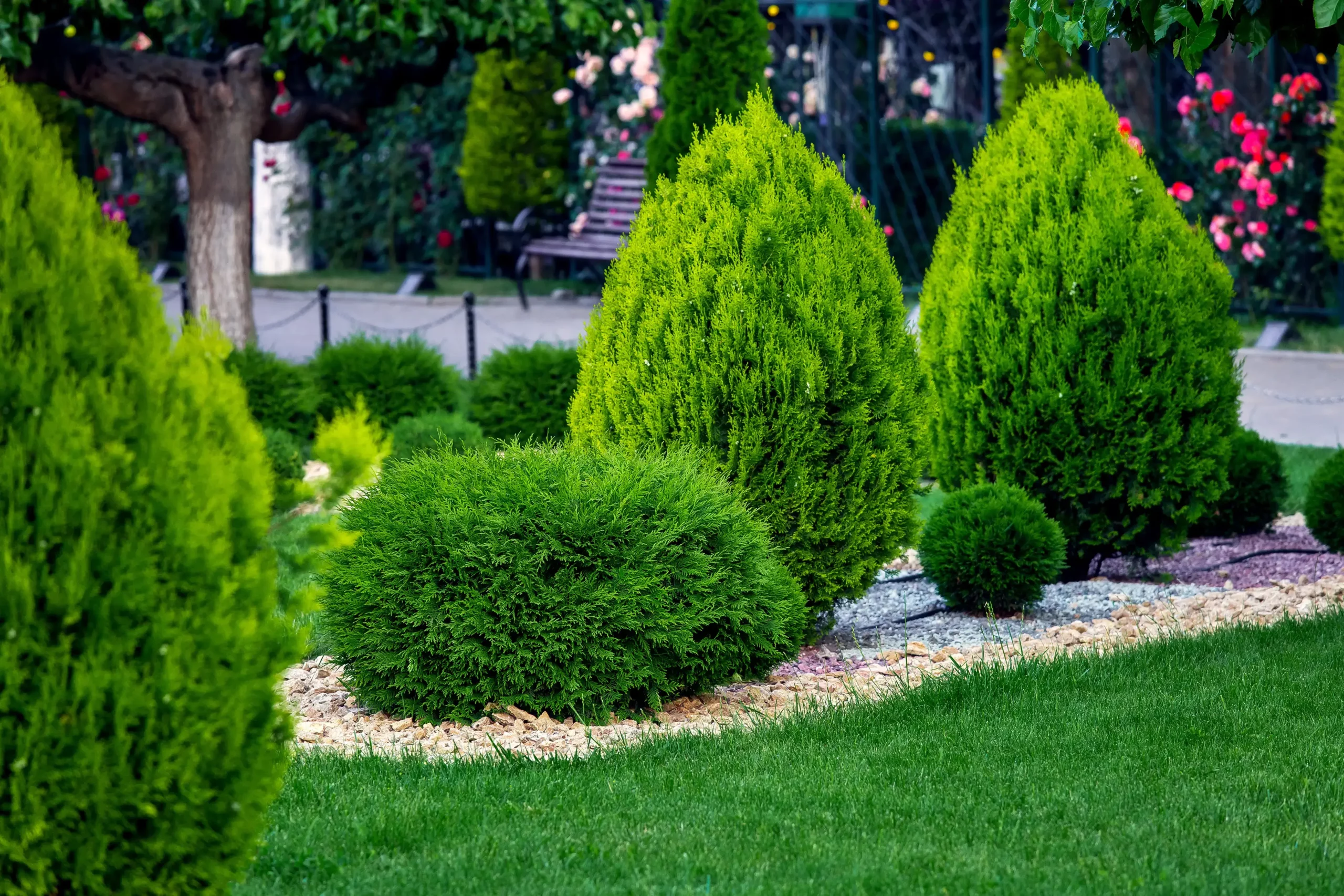 formby-gardener
