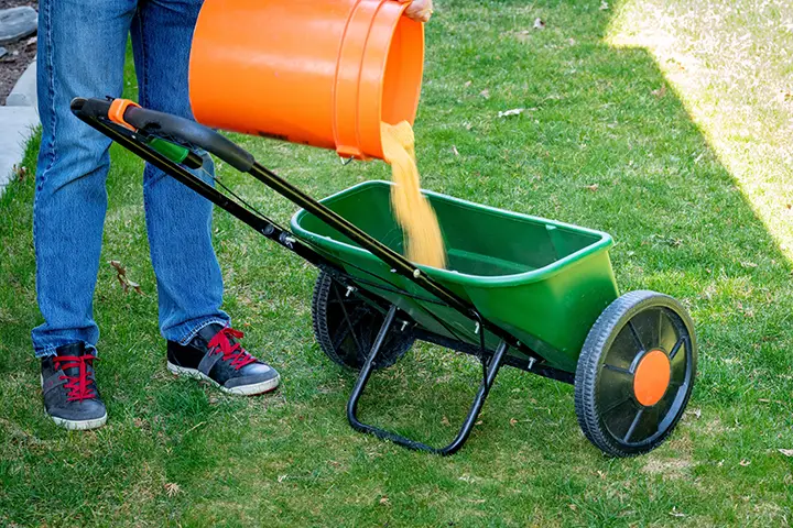 When and How to Use Lawn Sand, Moss Killer and Soil Improvers - Formby ...