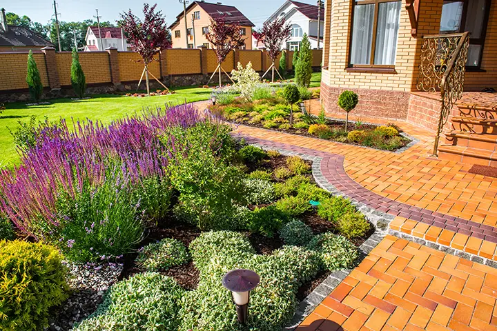 How to Group Plants by Water Needs (Hydrozoning in Sandy Gardens ...