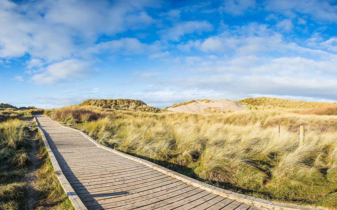 Formby Gardens: The Challenges and Advantages of Coastal Conditions ...