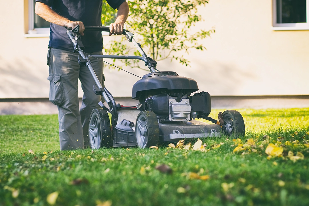 Best Petrol Lawn Mower UK (2026) – Professional Picks for Reliable ...